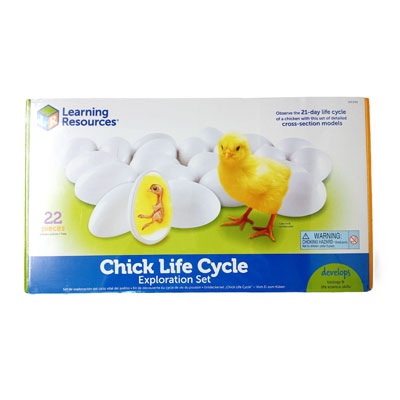 Chick Life Cycle Exploration Set - by Learning Resources LER2733 ...