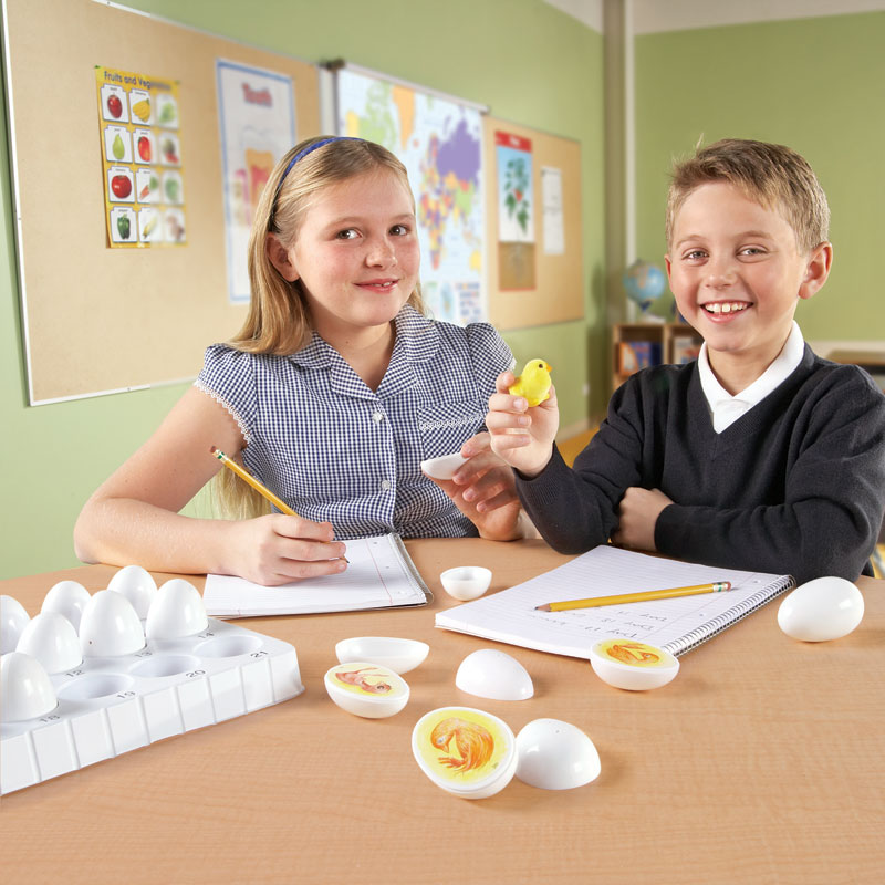 Chick Life Cycle Exploration Set - by Learning Resources LER2733 ...