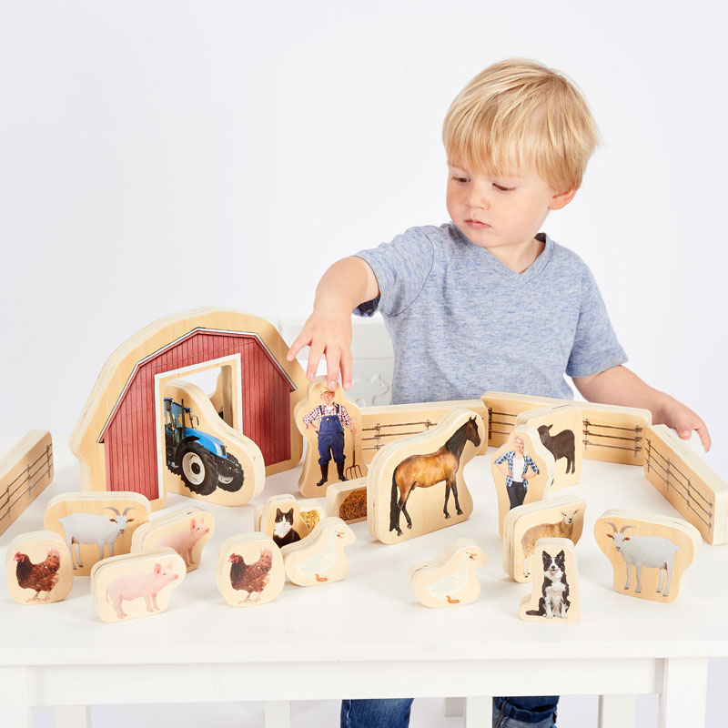 Wooden Farm Blocks - Set of 25 CD73399 | Primary ICT